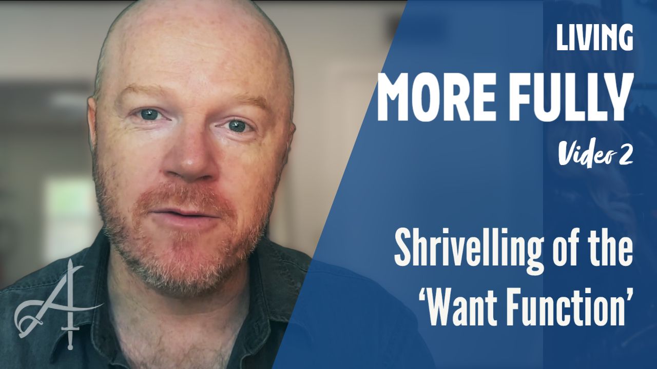 Video 2: Shrivelling of the ‘Want Function’