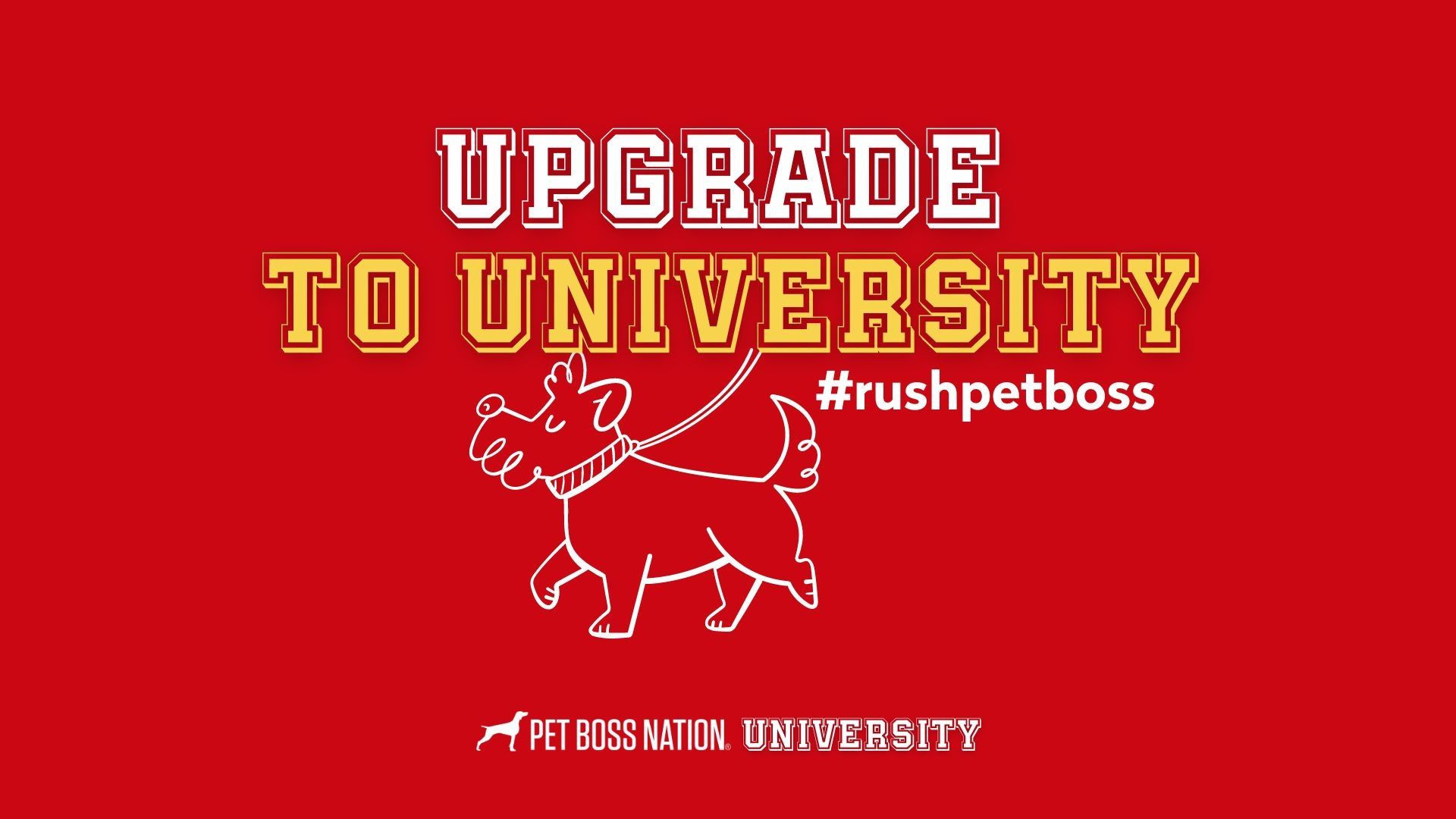 Upgrade to Pet Boss Nation University!