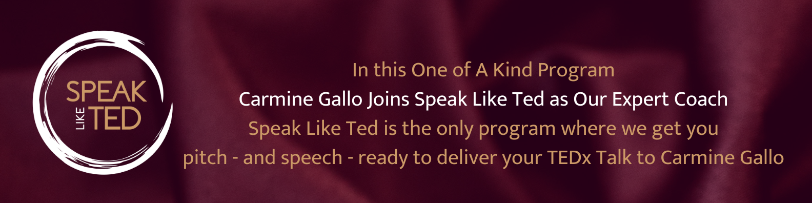 Speak Like TED 2024 Program