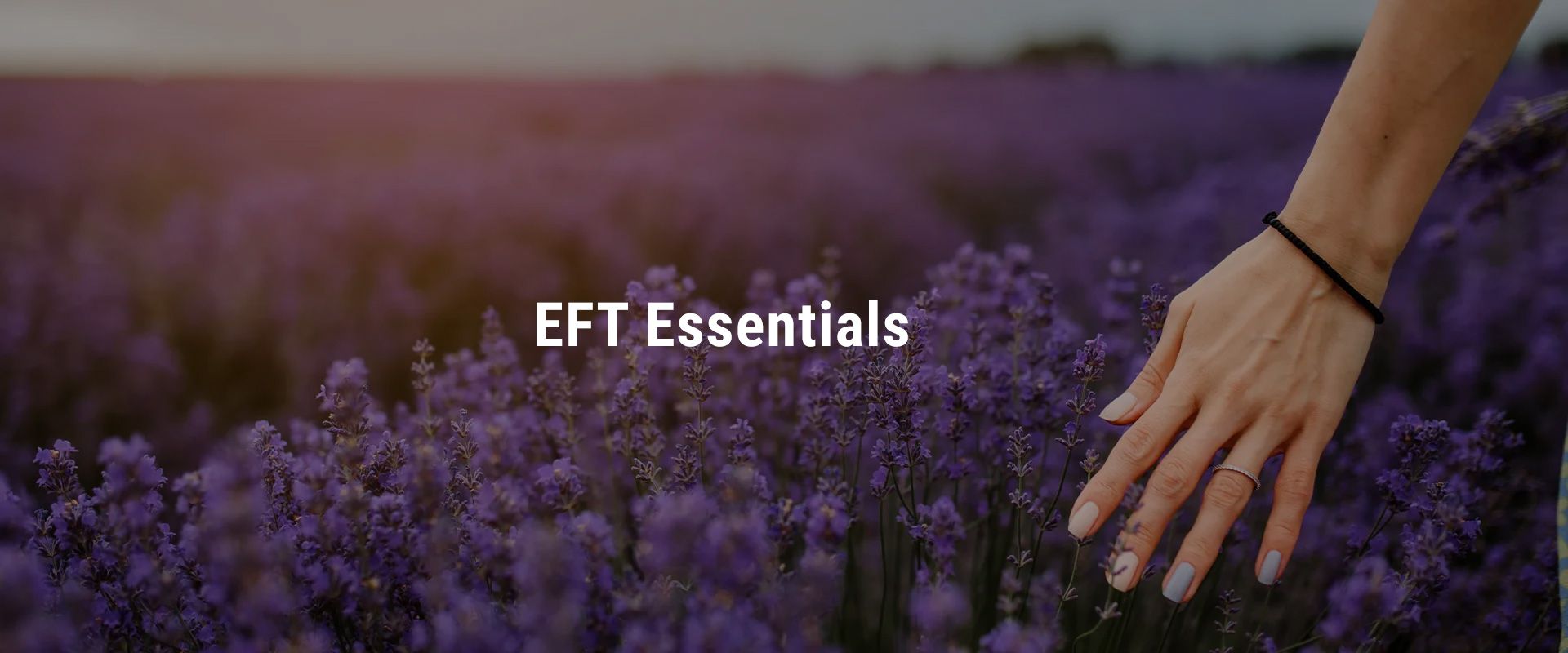 Manifest More With Meditation - EFT Universe