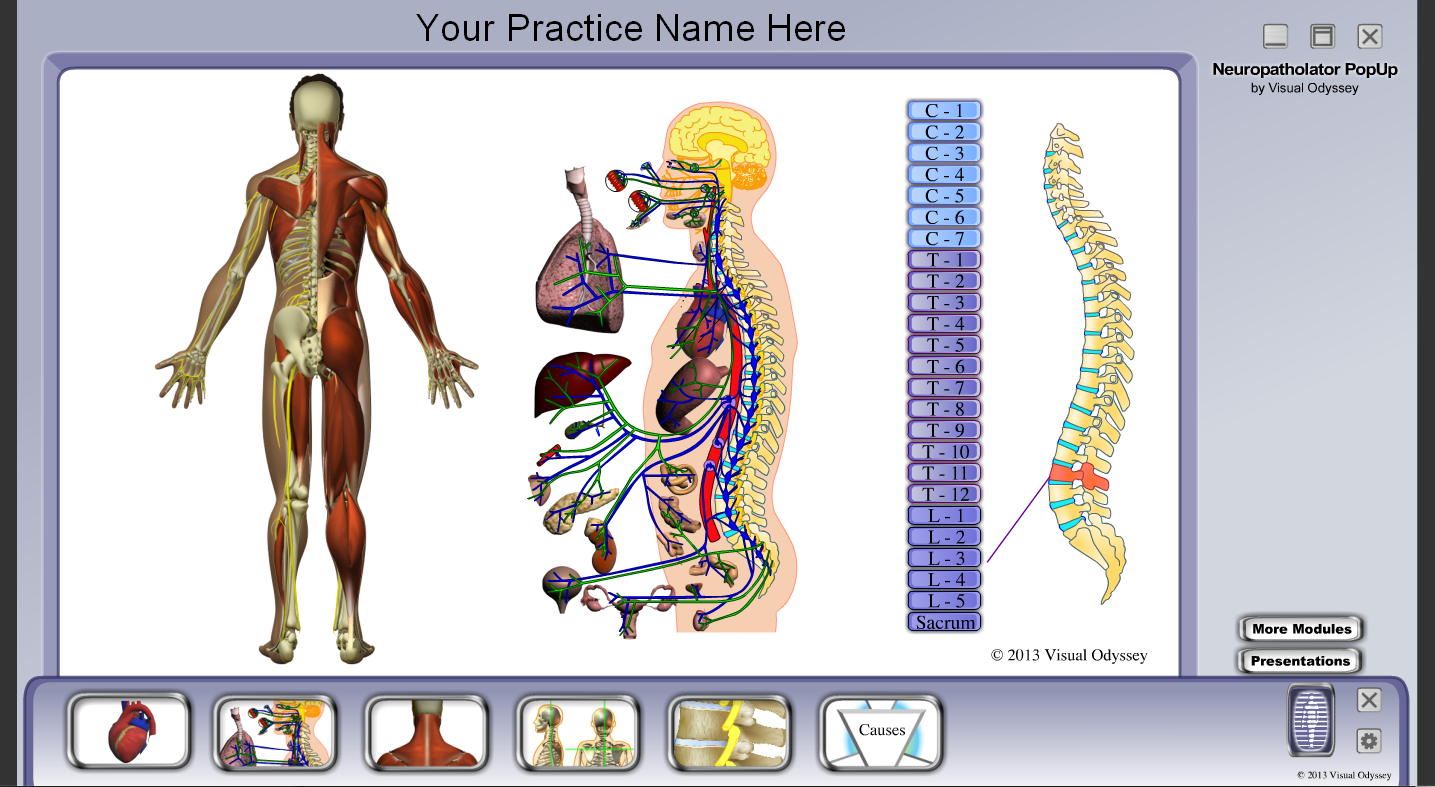 100+ Great Screens and Animations available to you