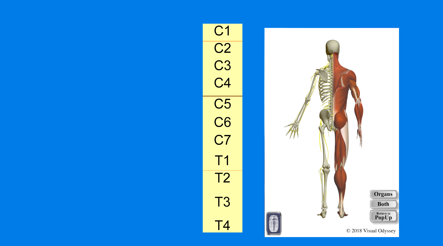 This Tytron module is available when you get the ROF Neuropatholator.