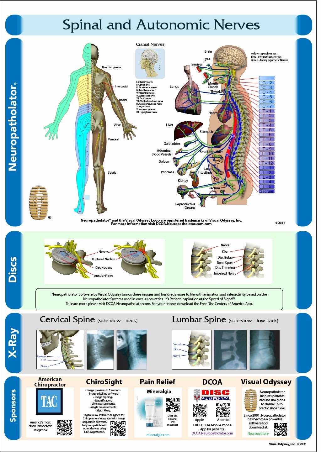 This Website will be targeted to Chiropractors when I change this video ...