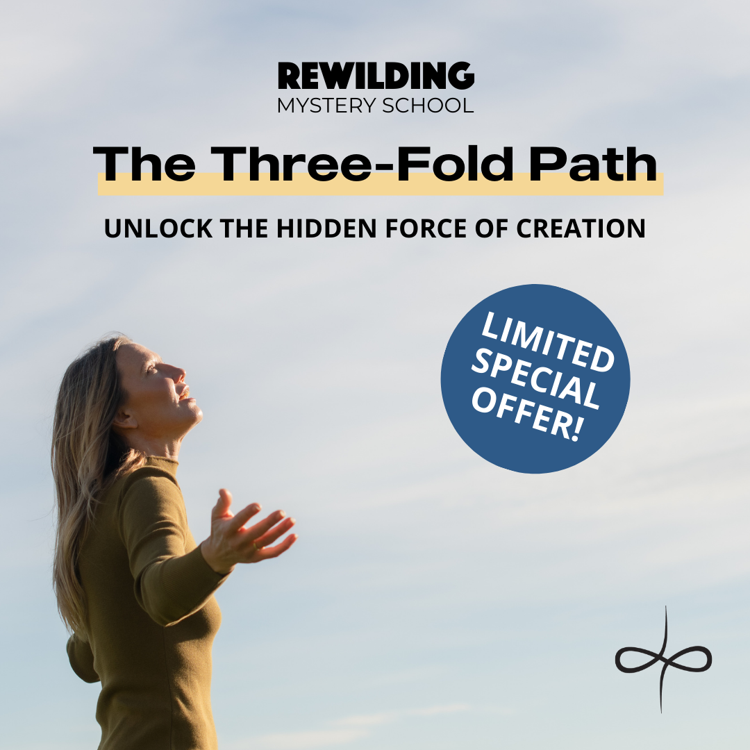 12-Week Self-Guided Journey into the Mysteries includes: