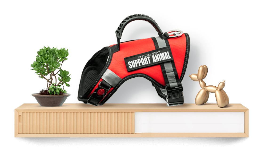 Get Your ESA™ Vest and Save Over 20%