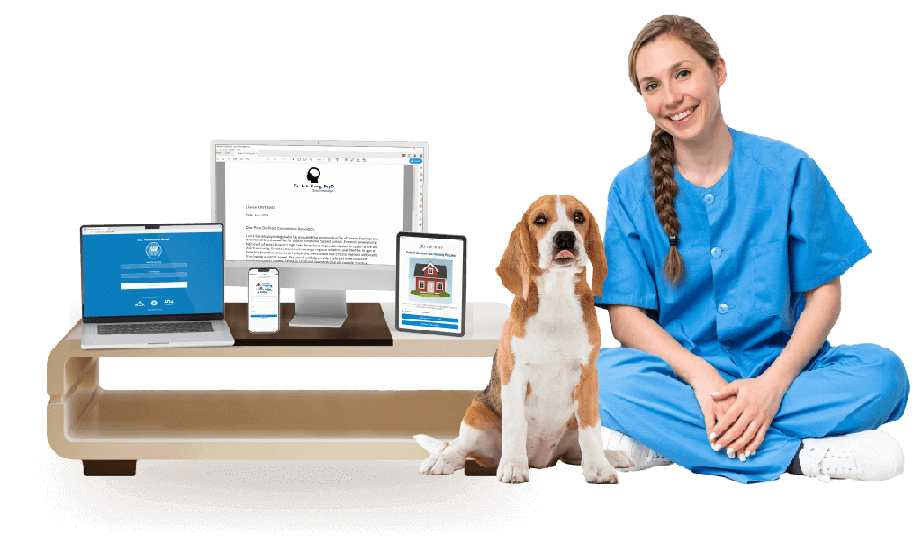 Limited Time Offer 50% Off