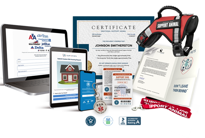 Includes FREE Shipping