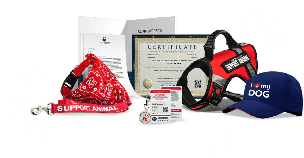 Limited Time Offer 50% Off