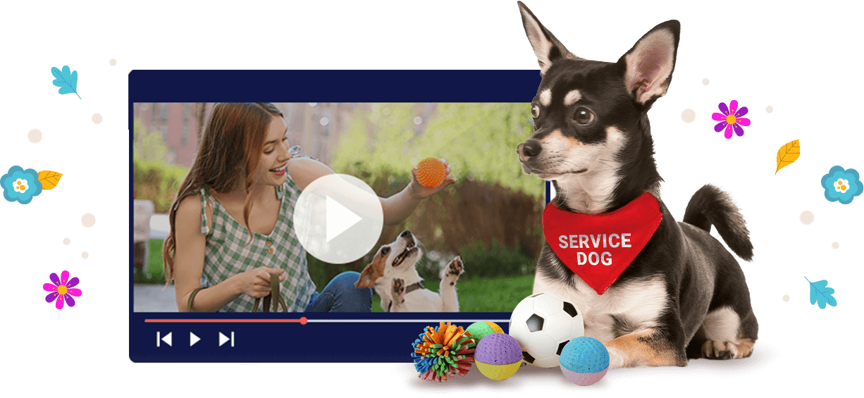 Get EVERYTHING You Need To Train Your Dog As An Official Psychiatric ...