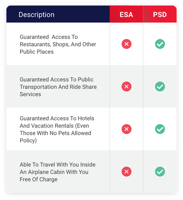 If you want to make sure you NEVER leave your dog behind again: