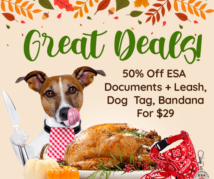 50% Off & VIP Discounts!