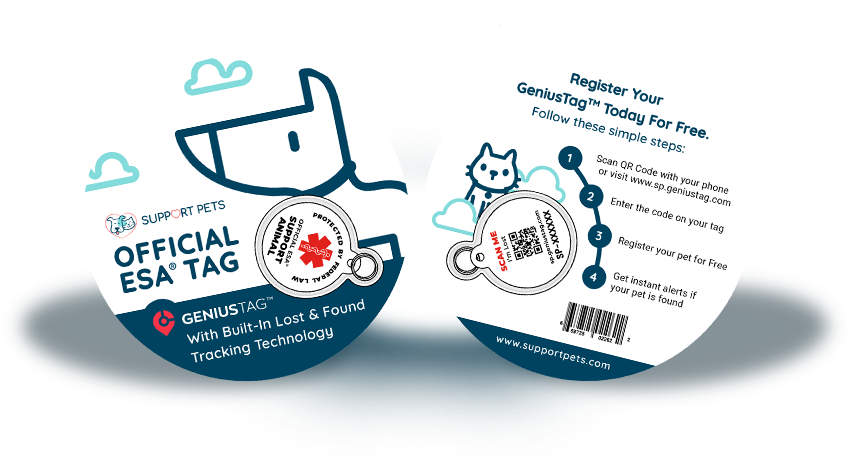 Save on Deluxe Bundle for PSDs