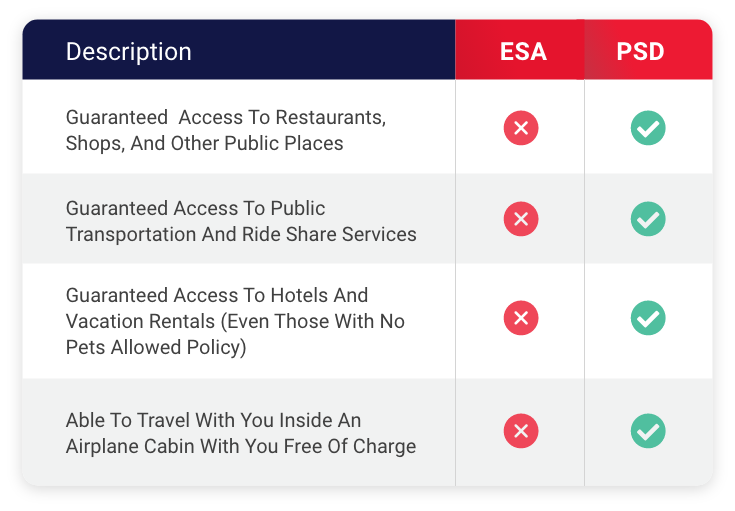 BUT there are also KEY differences that you need to know if you want to ...