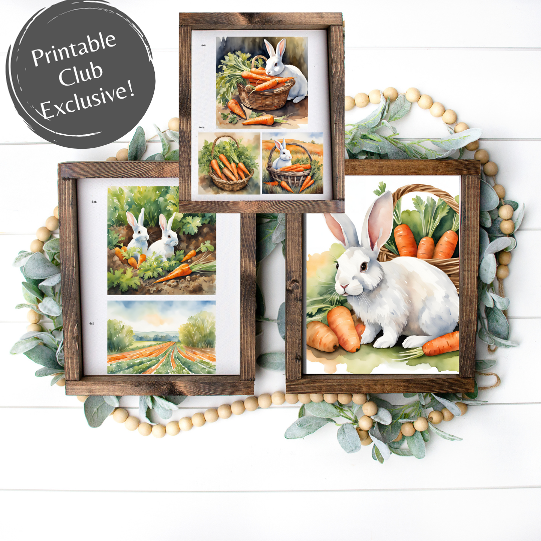 Join The Printable Club | Wilshire Collections