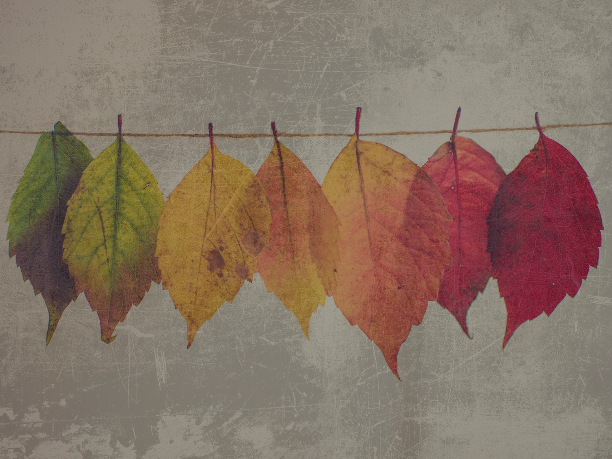 Lifted Blog | All Change is Mechanistic