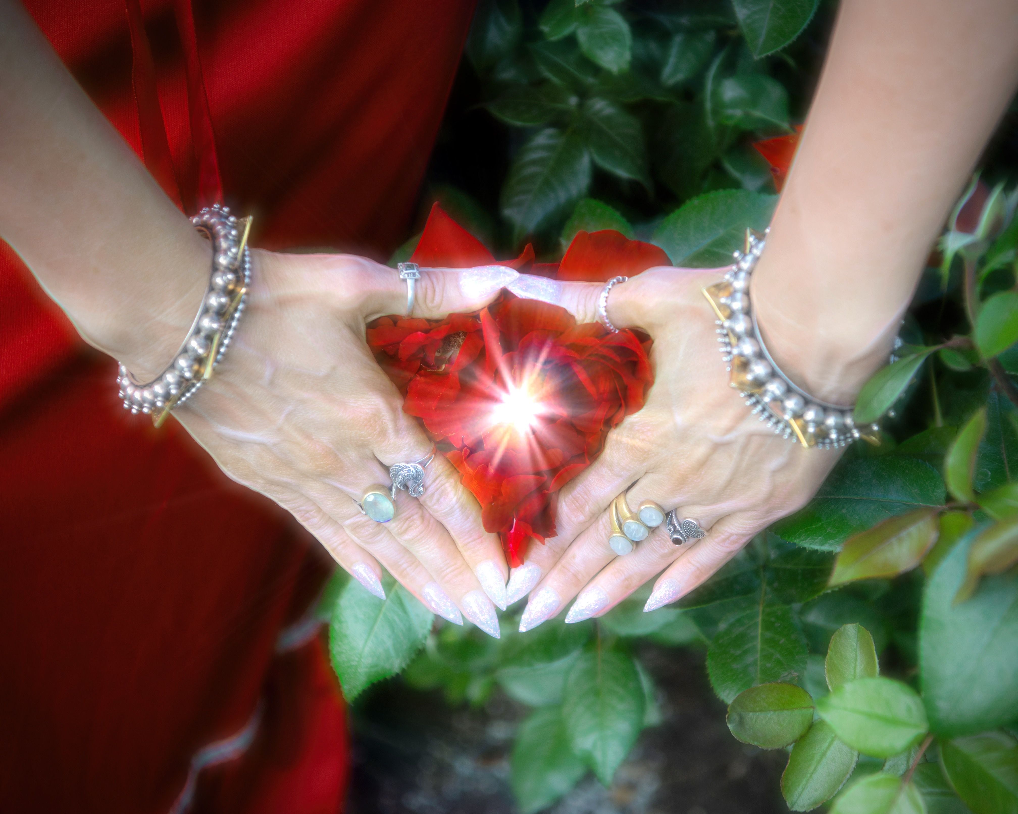 Light Seed - Solstice Sacred Dance Ceremony