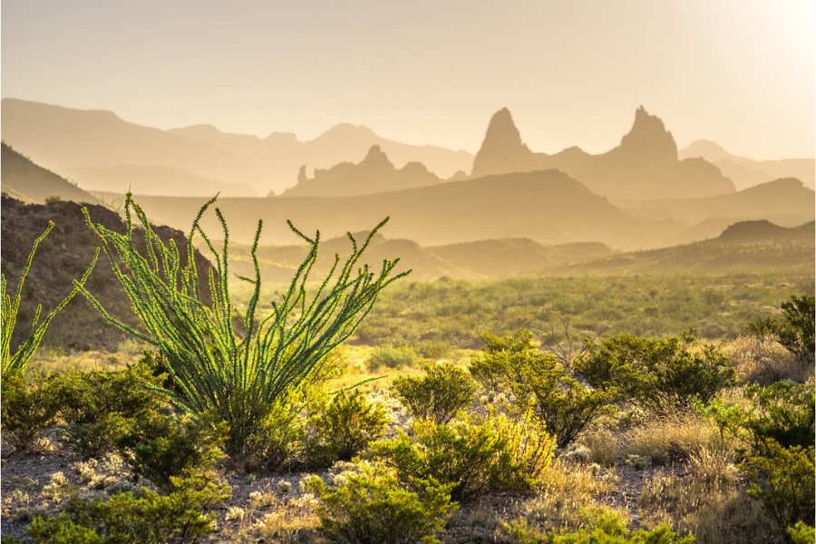 5 Landscape Photography Tips for the Perfect Shot