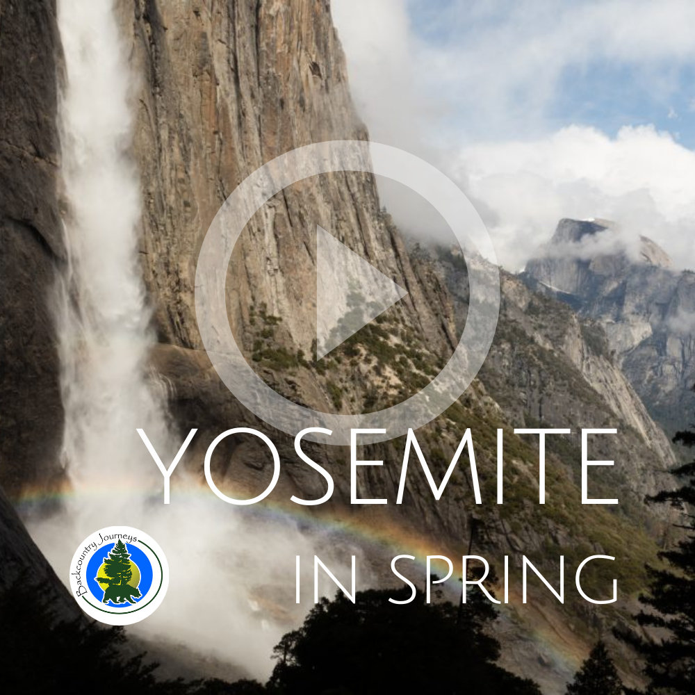 Yosemite in Spring
