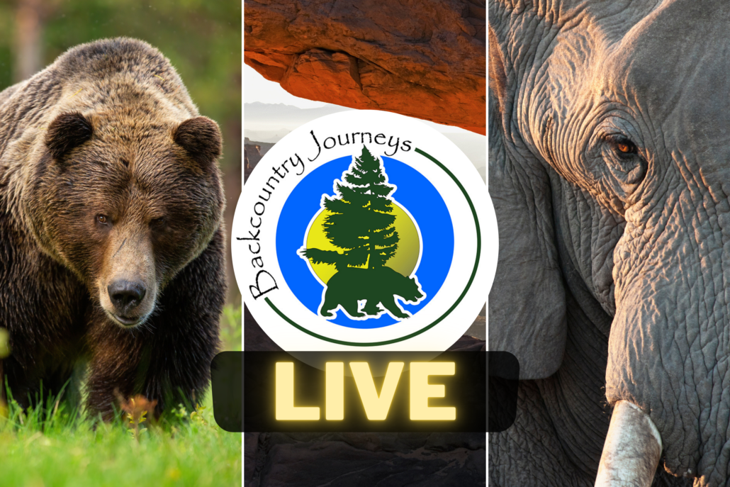 Introducing BCJ Live/Webinar Platform Upgrade