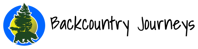 What is IBIS: A Comprehensive Guide to In-Body-Image-Stabilization