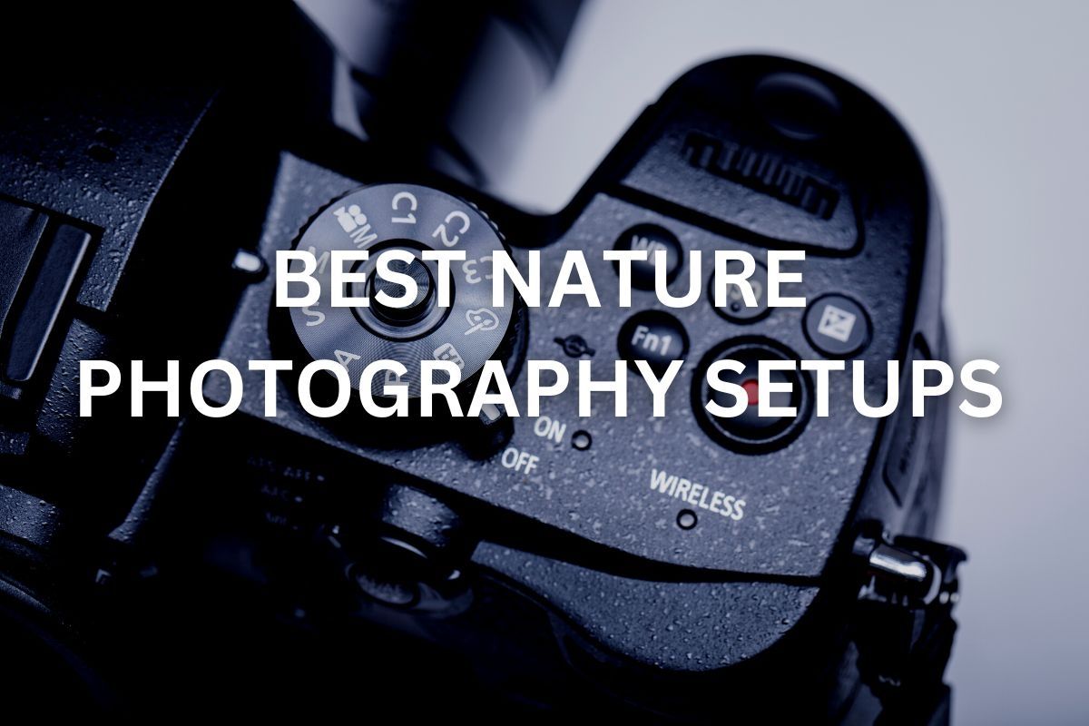 Best Nature Photography Setup for Major Systems