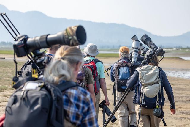 What is IBIS: A Comprehensive Guide to In-Body-Image-Stabilization