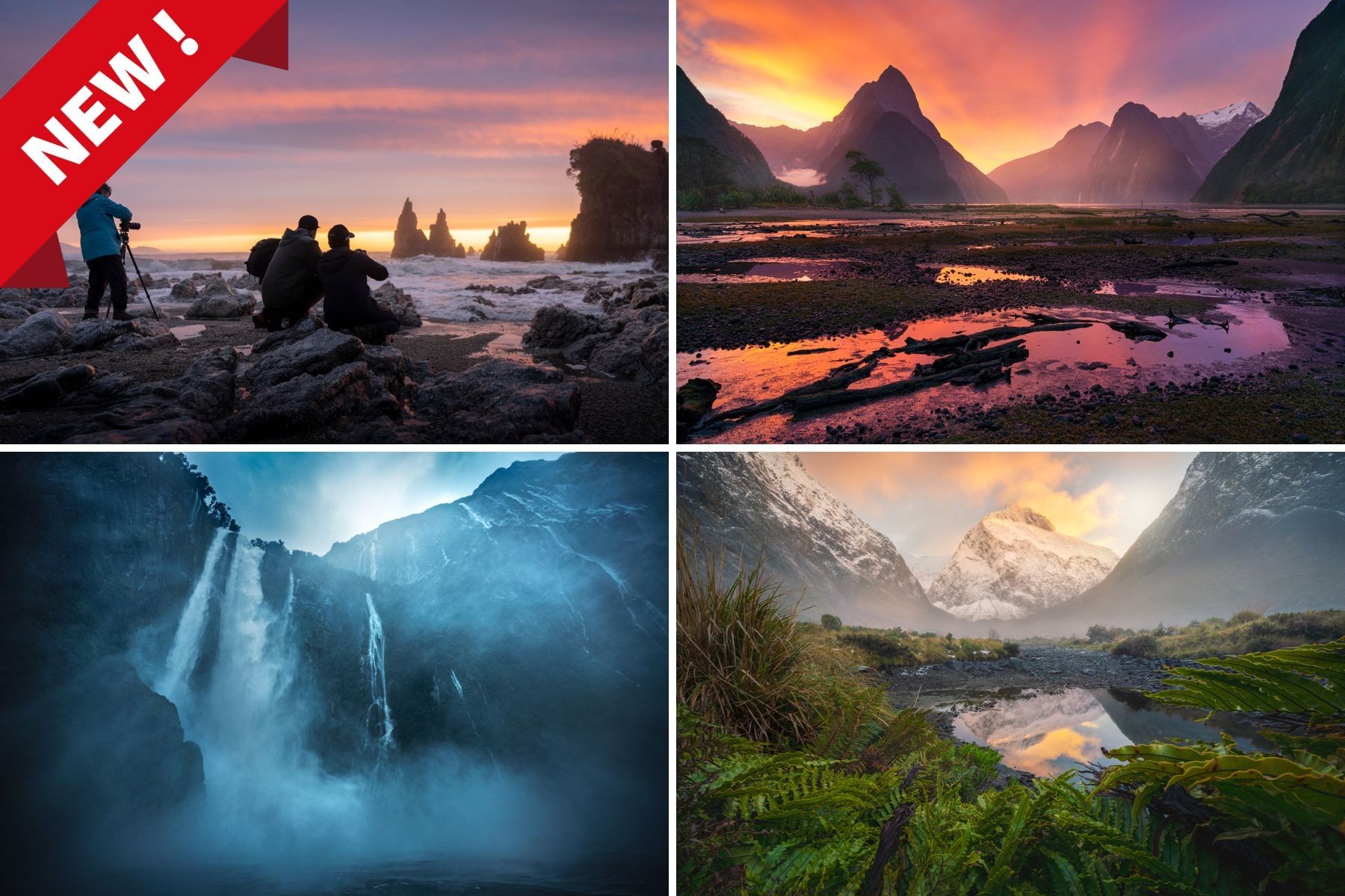 The Best Full-Frame Mirrorless Cameras for Landscape Photography