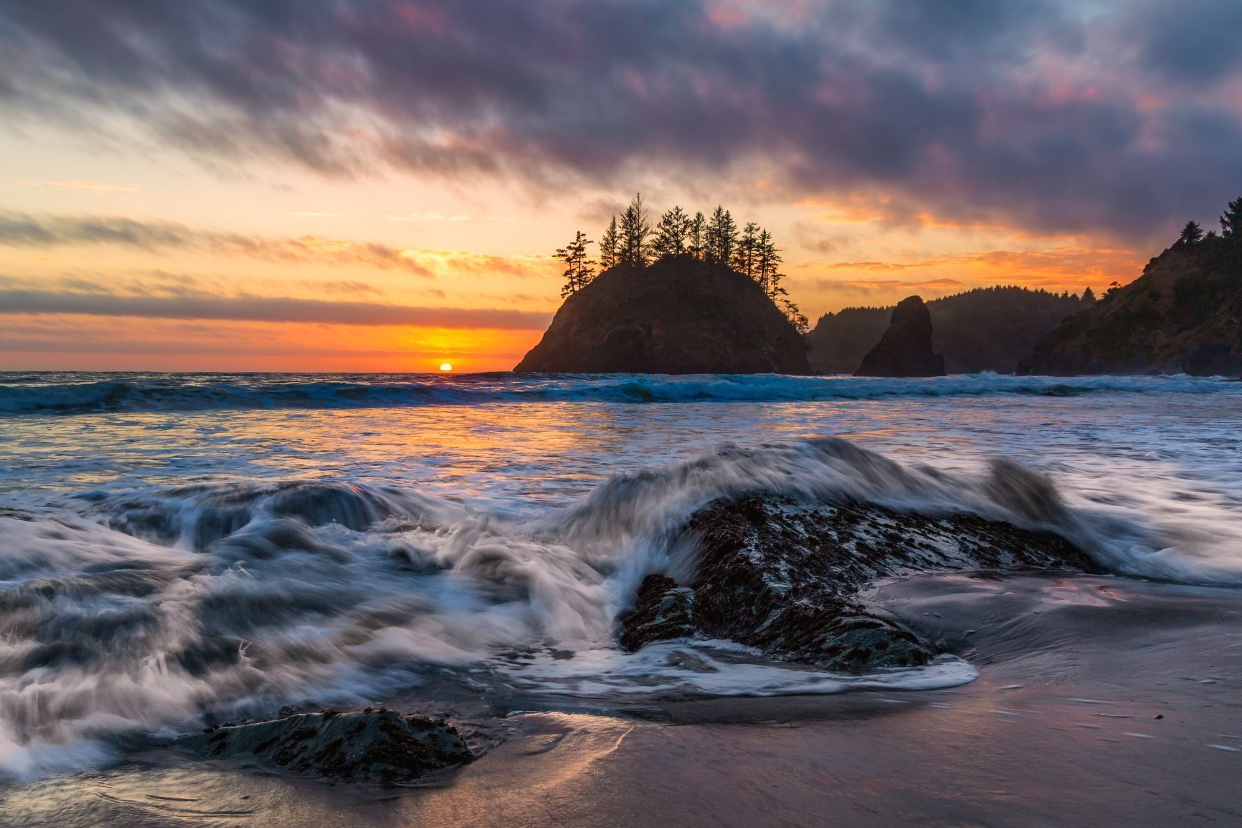 The Redwoods of California Photo Workshop