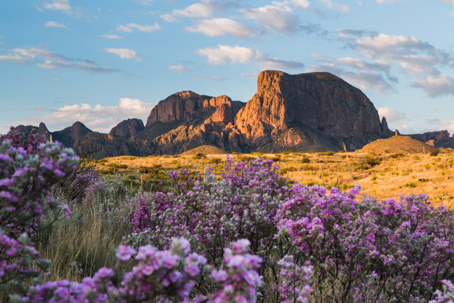 Backcountry Journeys - Photography Tours, Workshops & Safaris