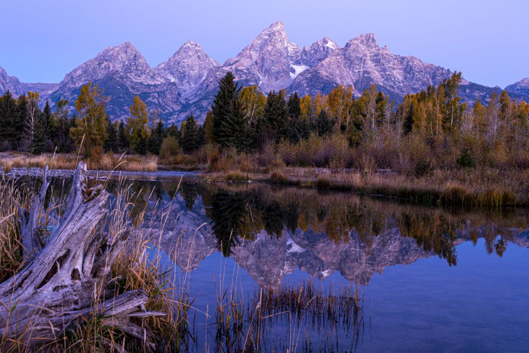 Trip Report: Grand Teton National Park – September 2021