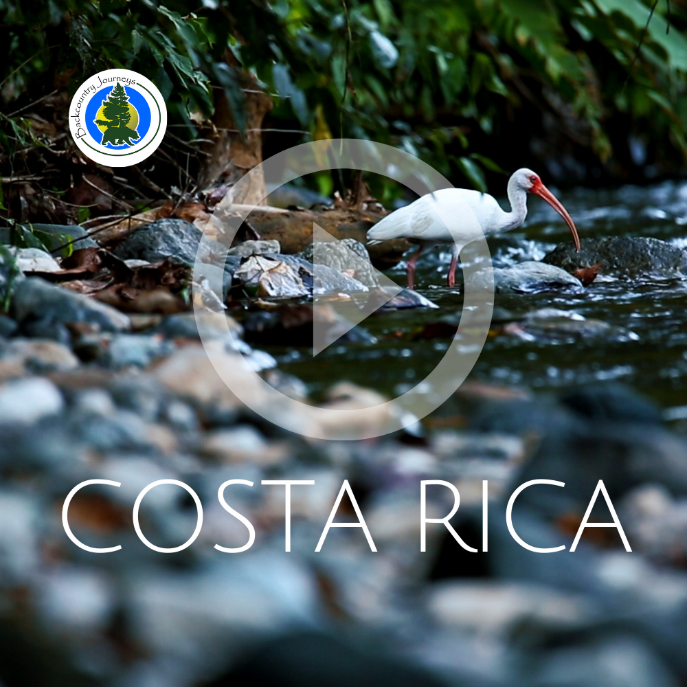The Beauty of Costa Rica: A Photographer’s Paradise