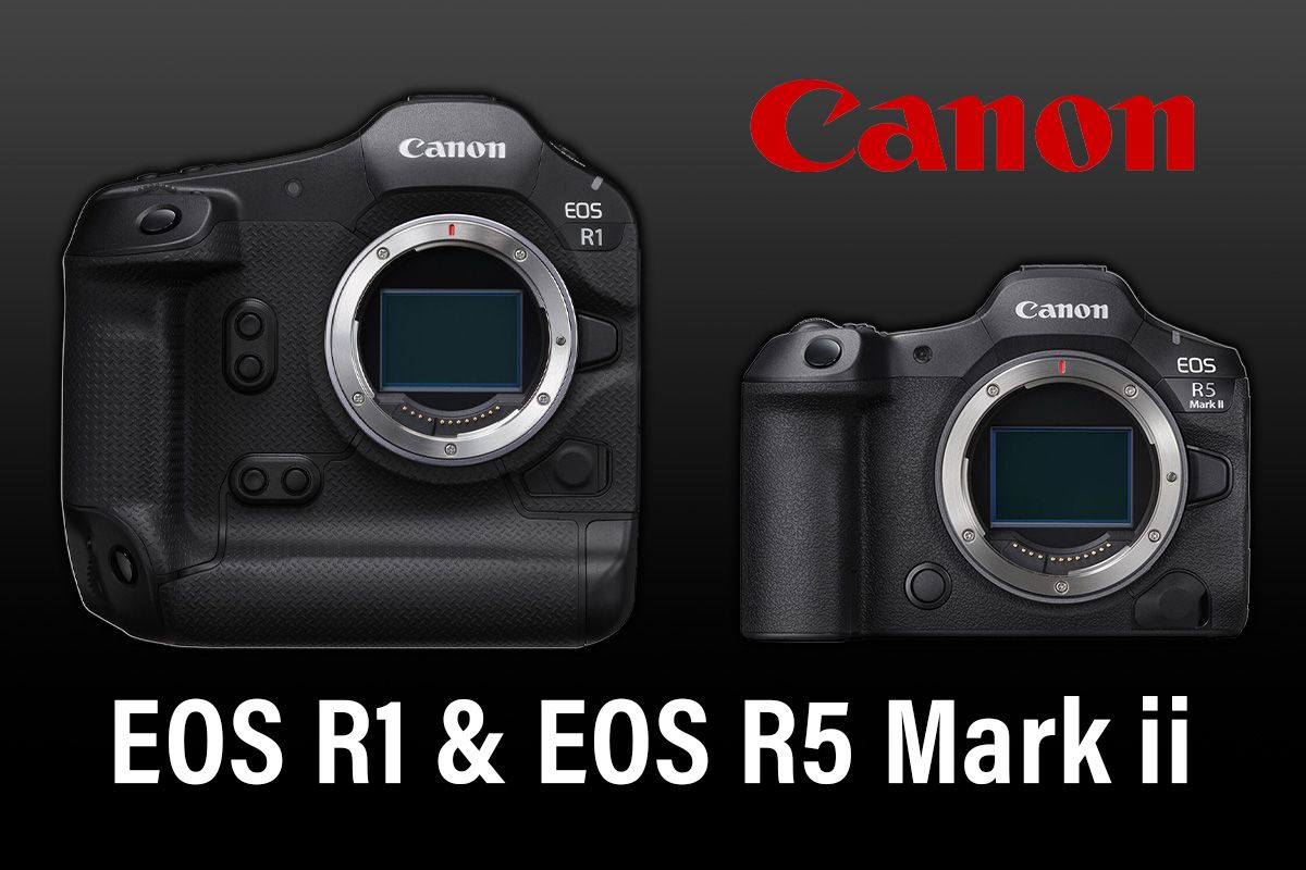 An In-Depth Guide to Canon’s Brand-New EOS R1 and EOS R5 Mark ii ...