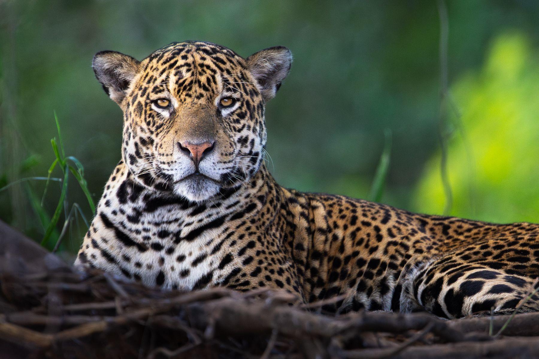 World-Class Photography Tours & Workshops