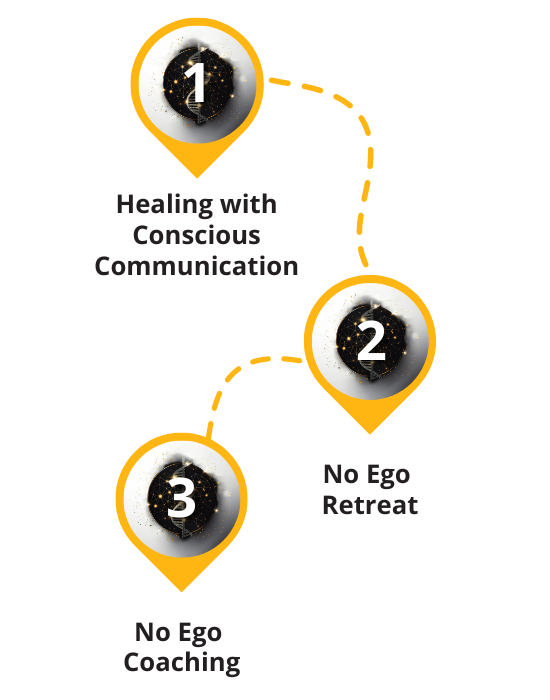 The Journey Personal Transformation Program