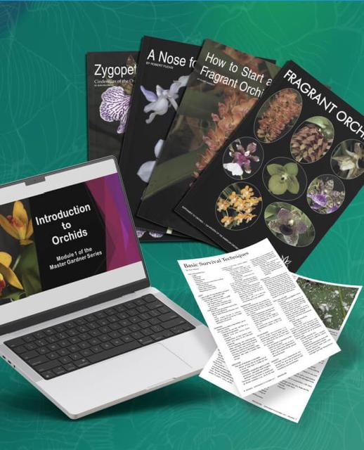 AOS Introductory Orchid Bundle