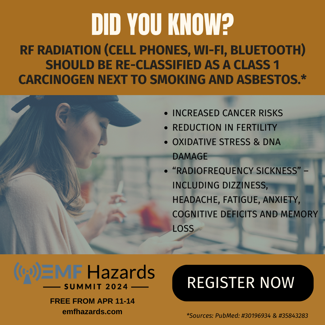 EMF Hazards JV Resources