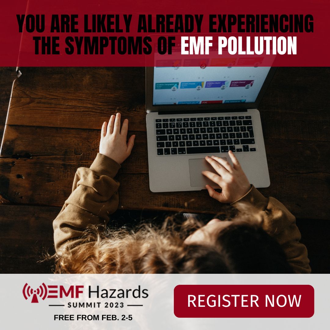 EMF Hazards JV Resources