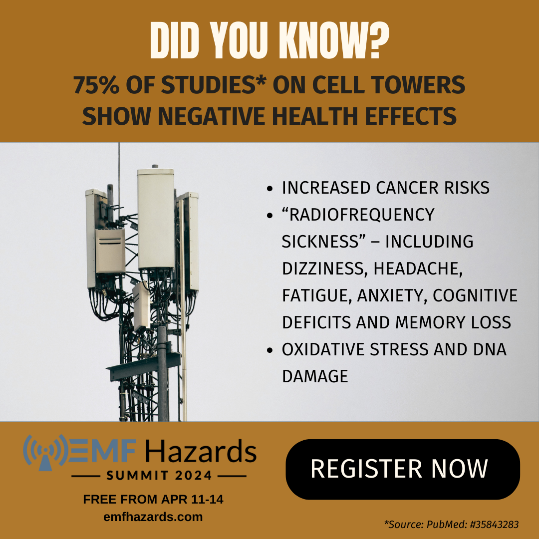 EMF Hazards JV Resources