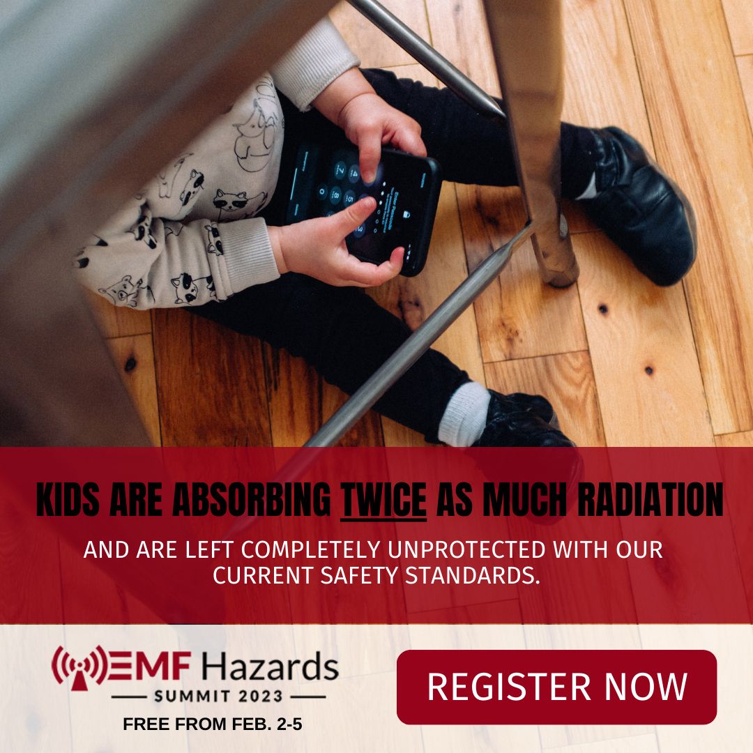 EMF Hazards JV Resources