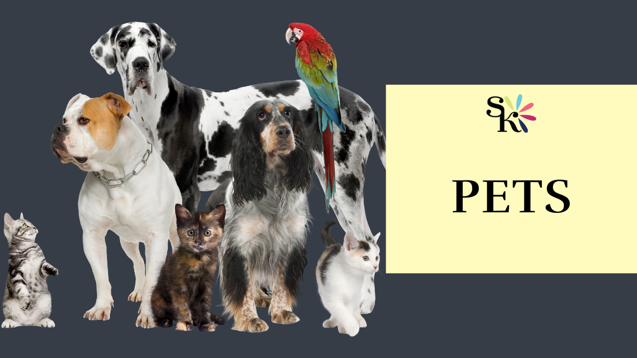 Pets