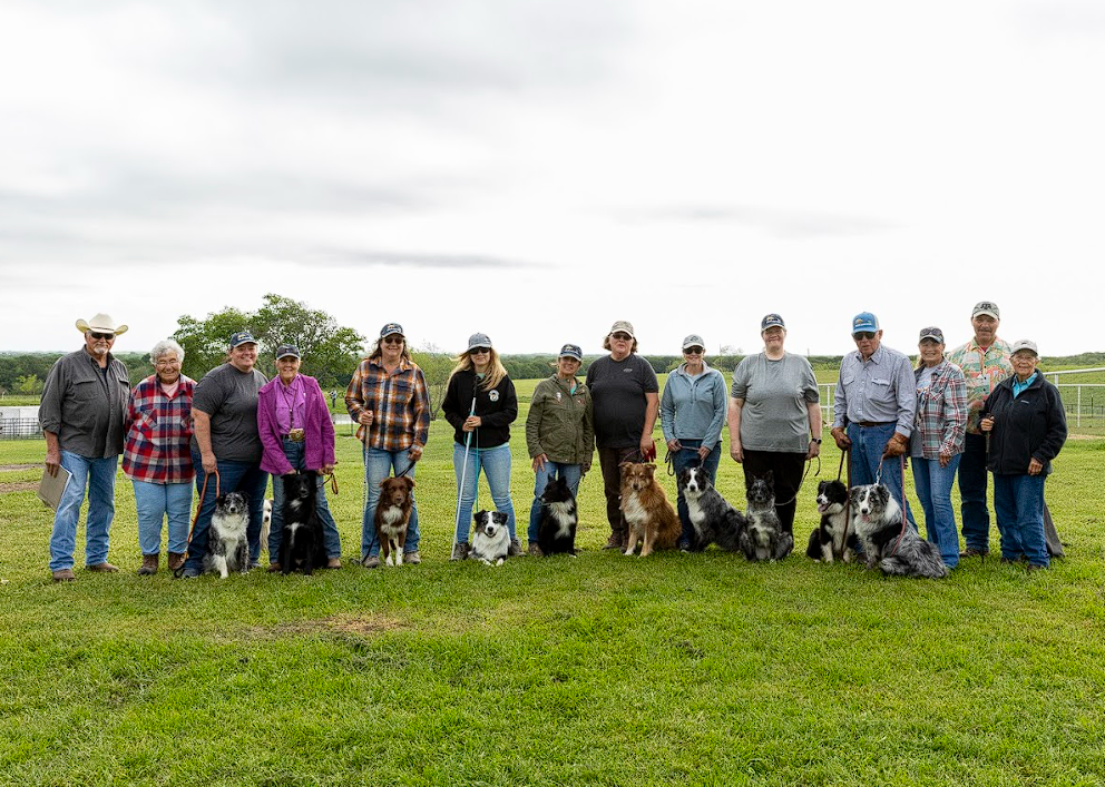 Futurity - Working Aussie Sources