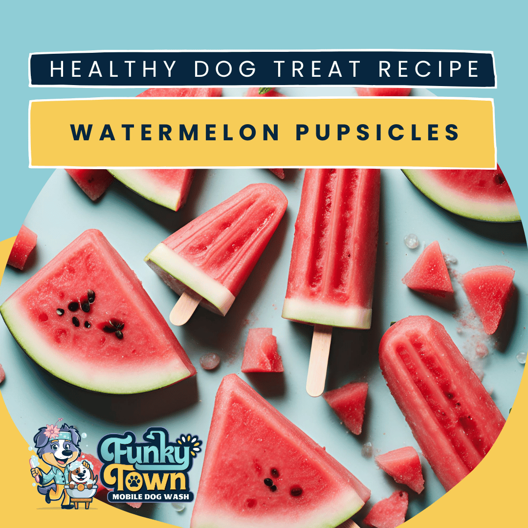 Watermelon Pupsicles Recipe | Cool Dog Treats