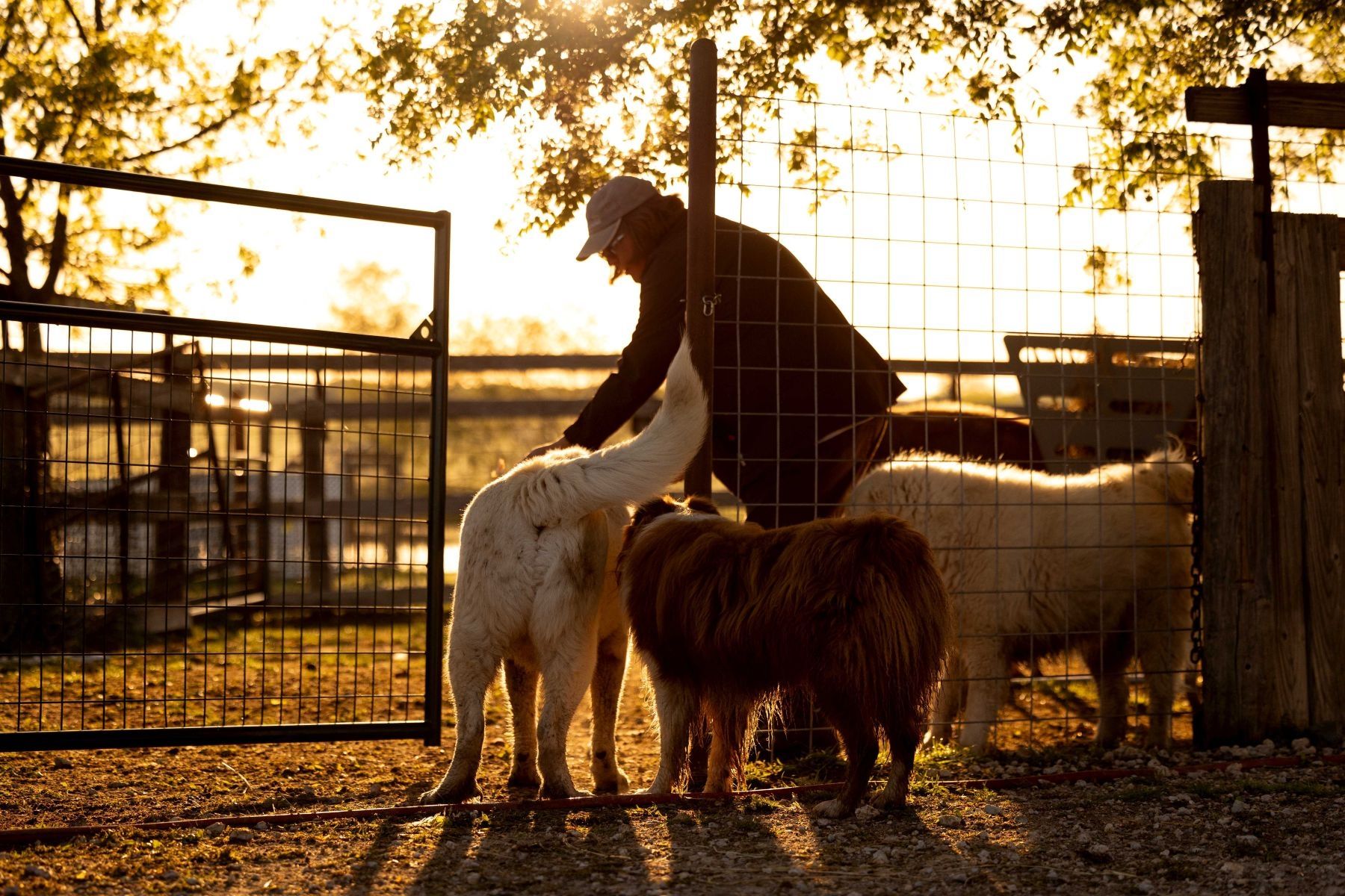 Home- Working Aussie Source
