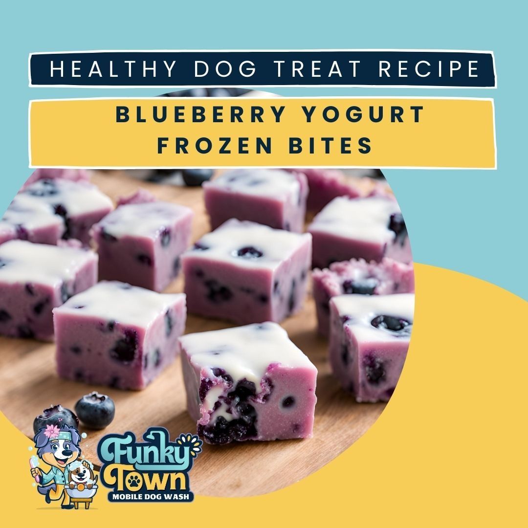 Groovy Blueberry Yogurt Frozen Bites for Dogs - Healthy Summer Treat Recipe