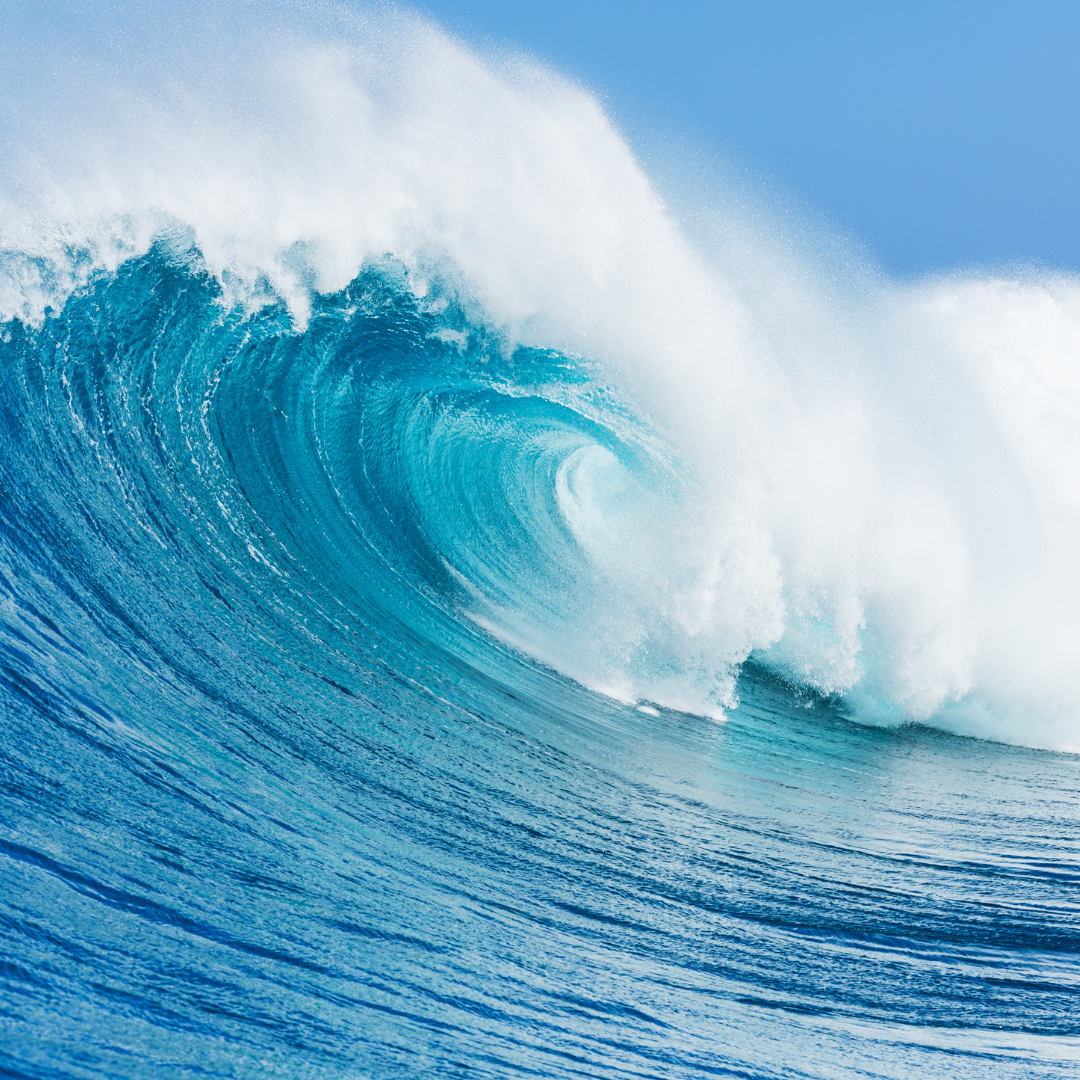 Peak Performance Trader