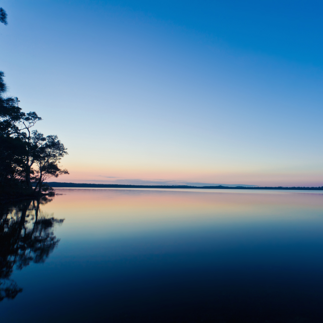 Peak Performance Trader