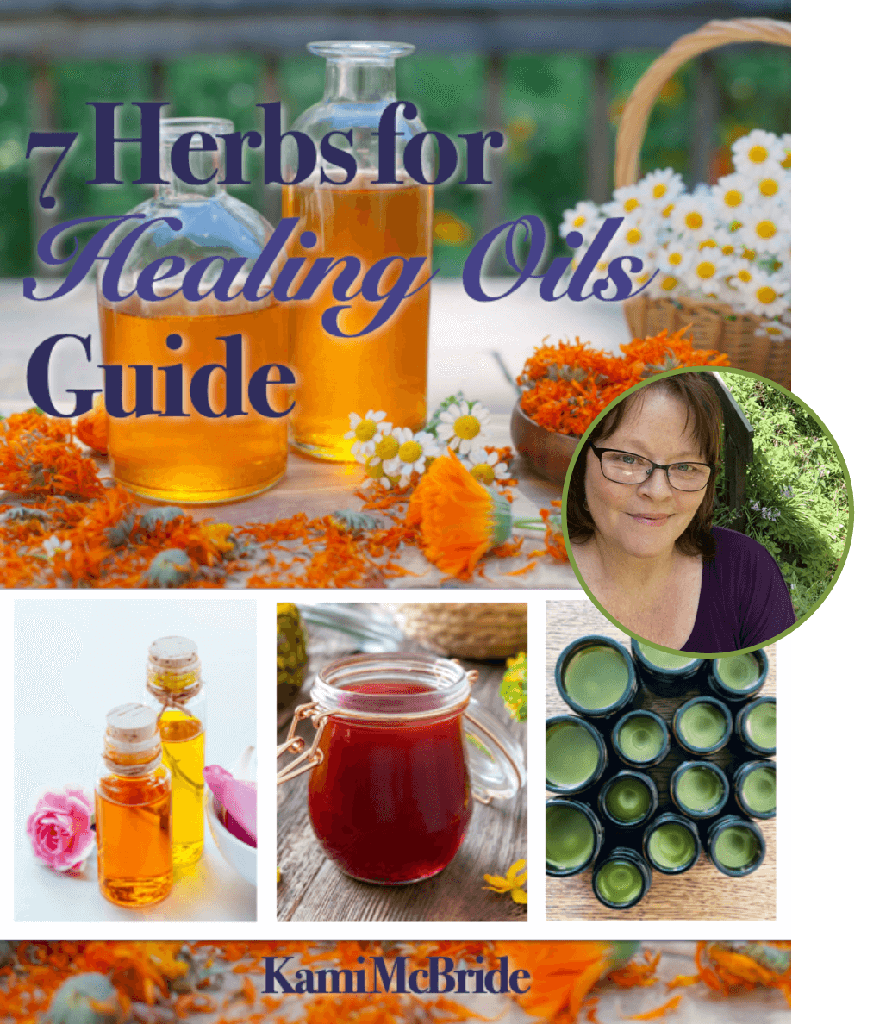 7 Herbs for Healing Oils