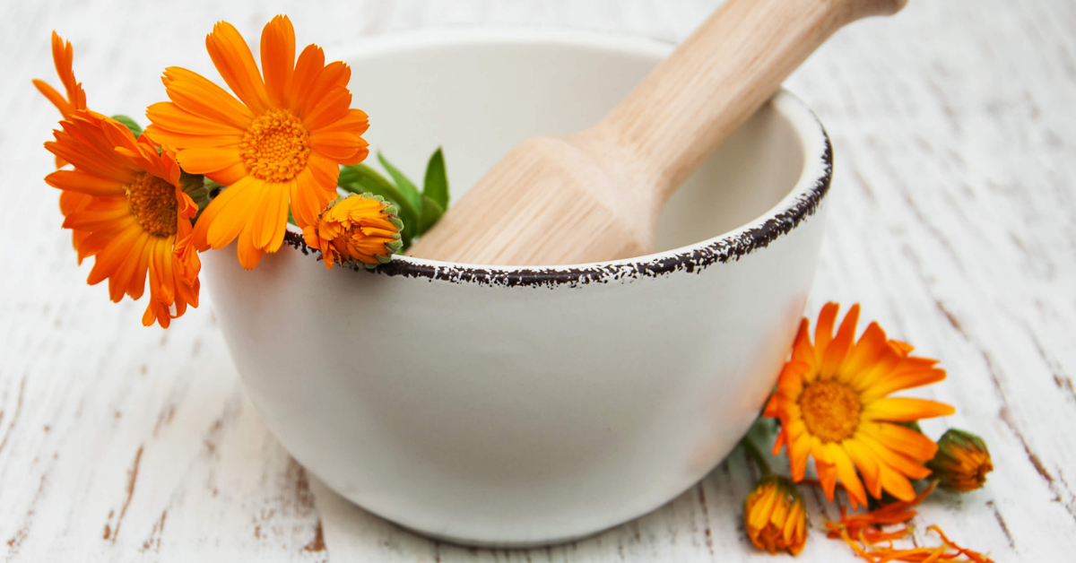 Herbs For Cold And Flu Season