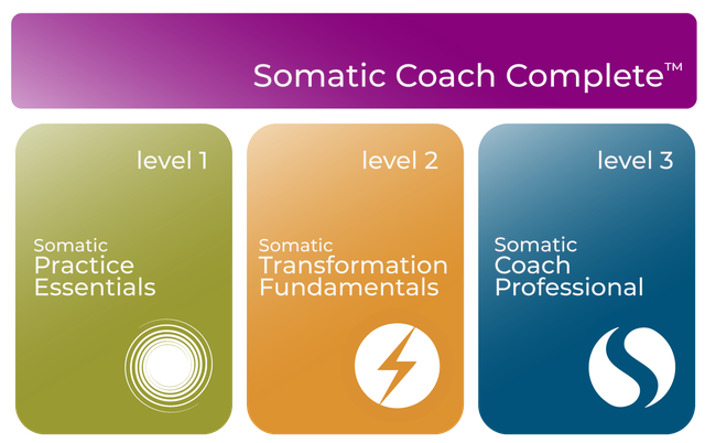 Friends of the Somatic Coaching Academy