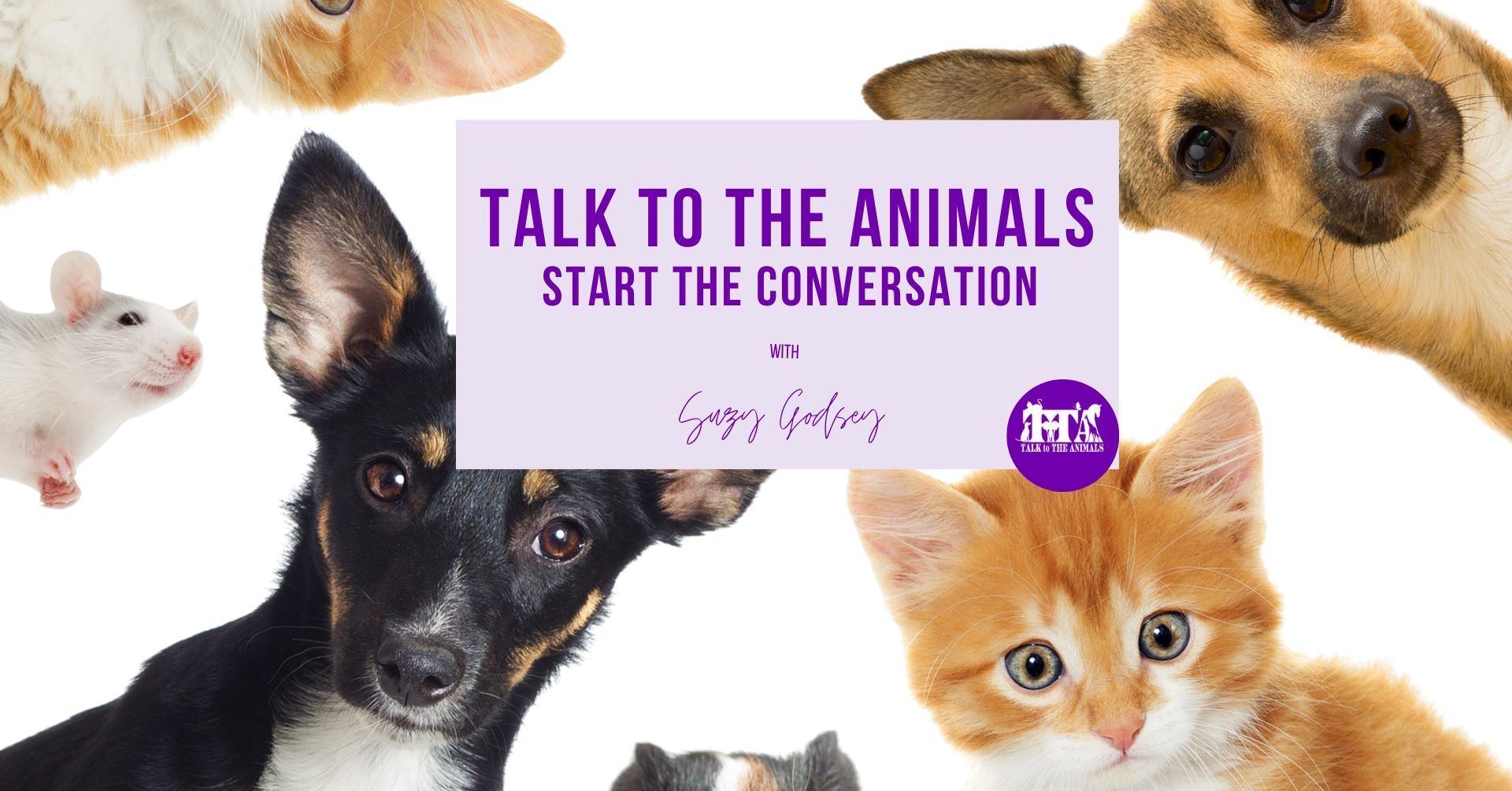 Talk To The Animals